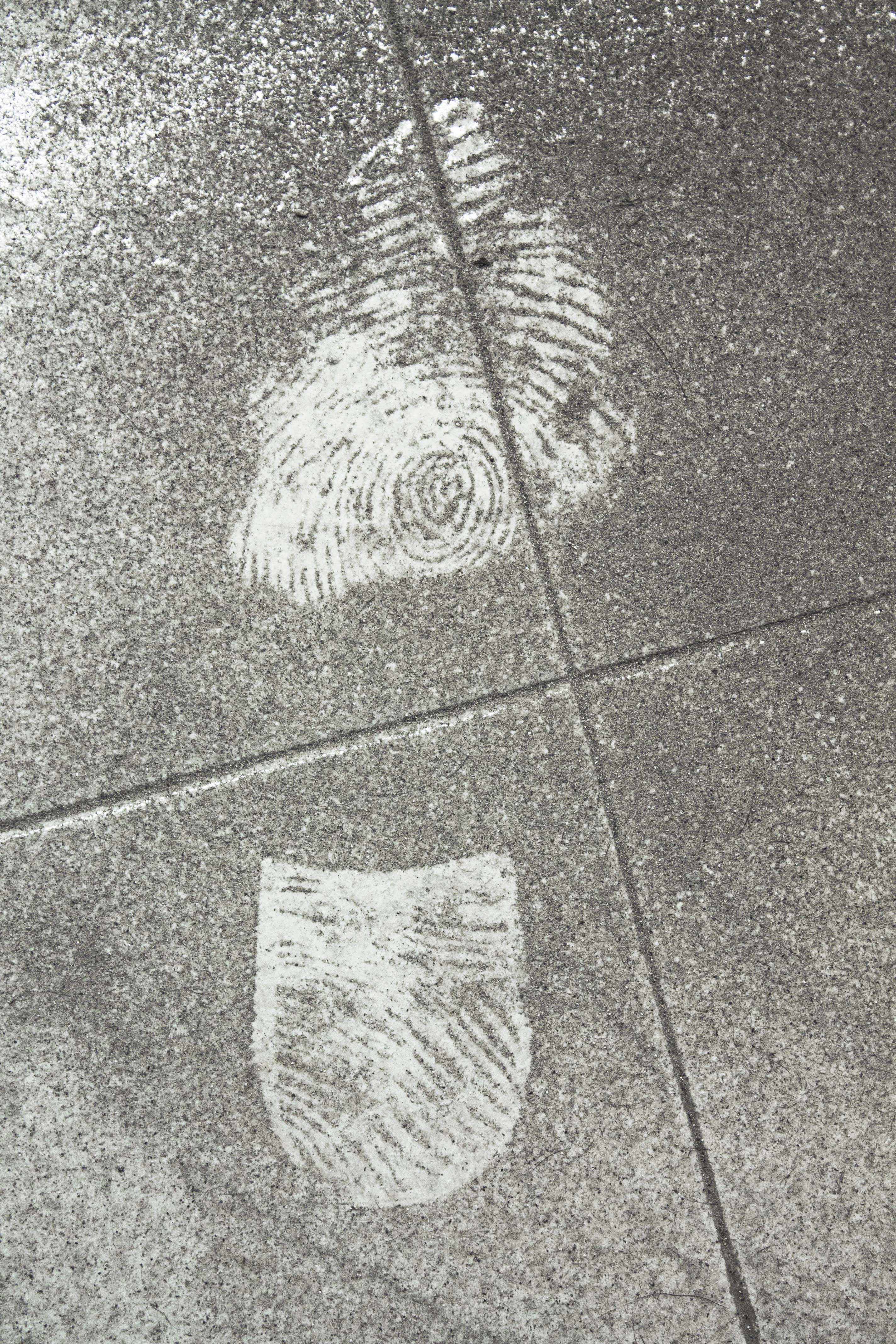 Ambulo Ergo Sum – Nadia D'Alessio